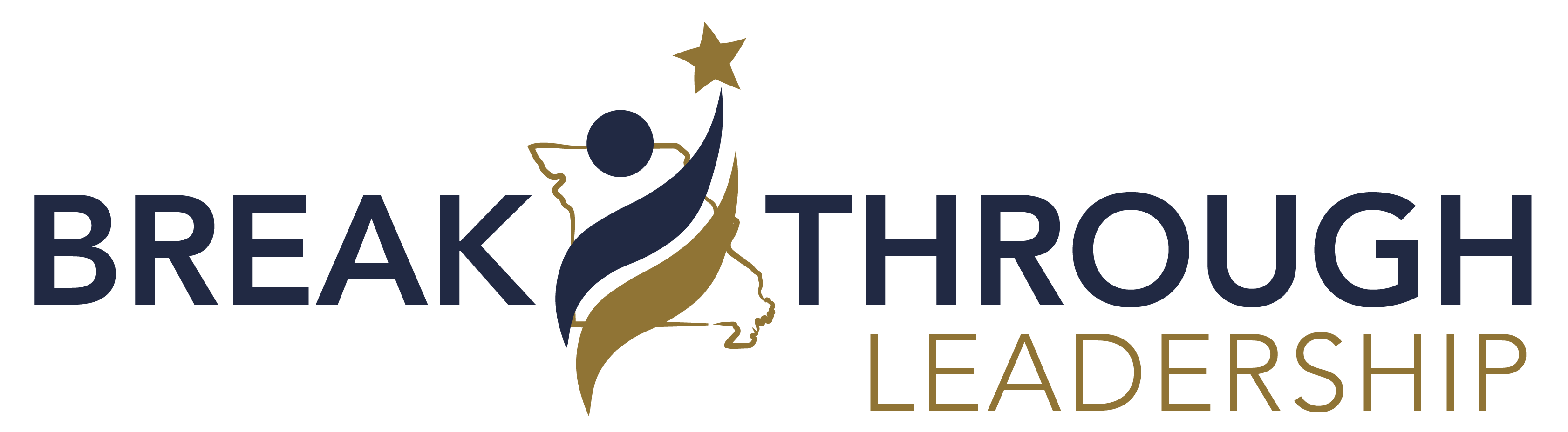 Introducing Breakthrough Leadership